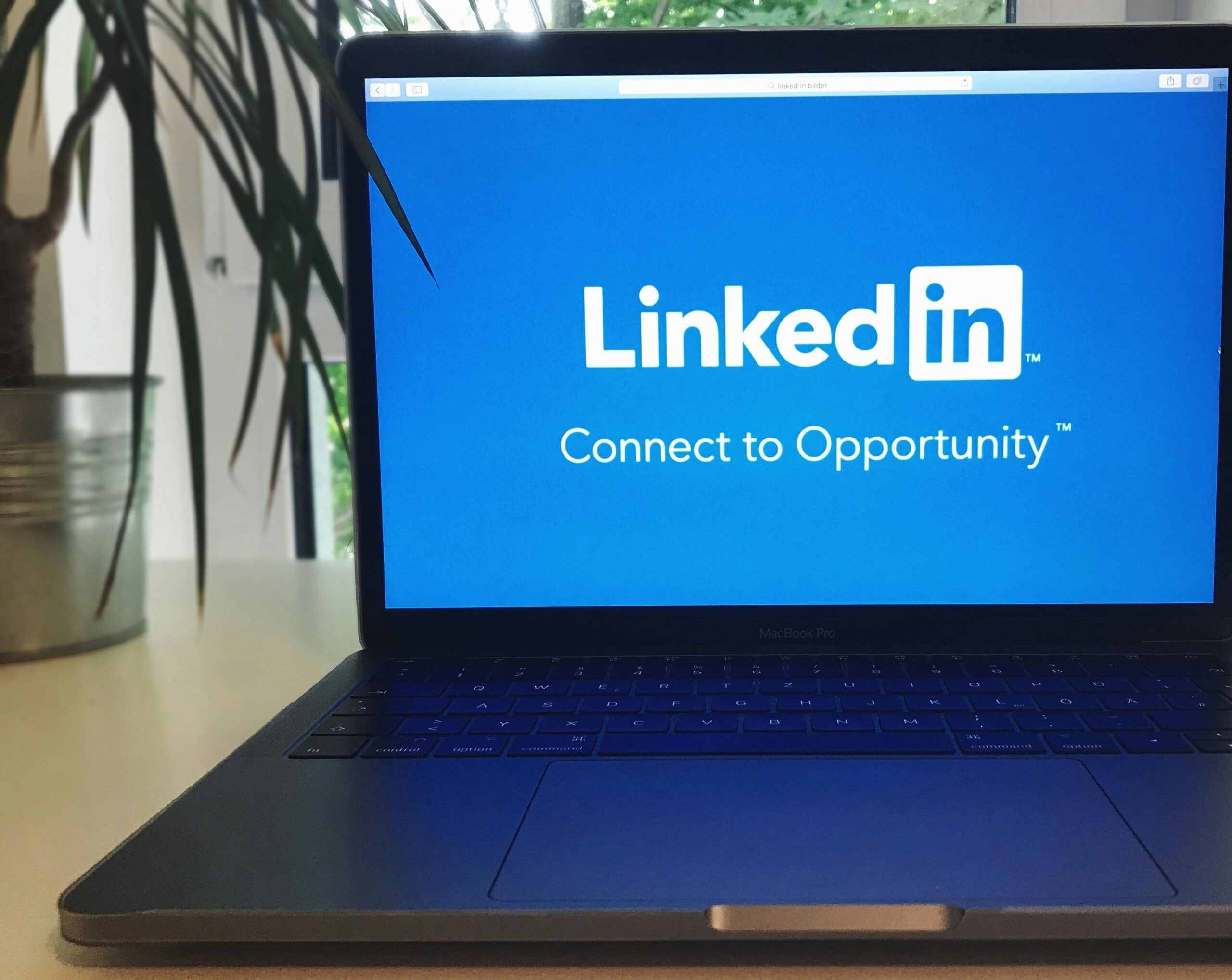 LinkedIn 2025 : Pourquoi la portée organique des publications est en ...