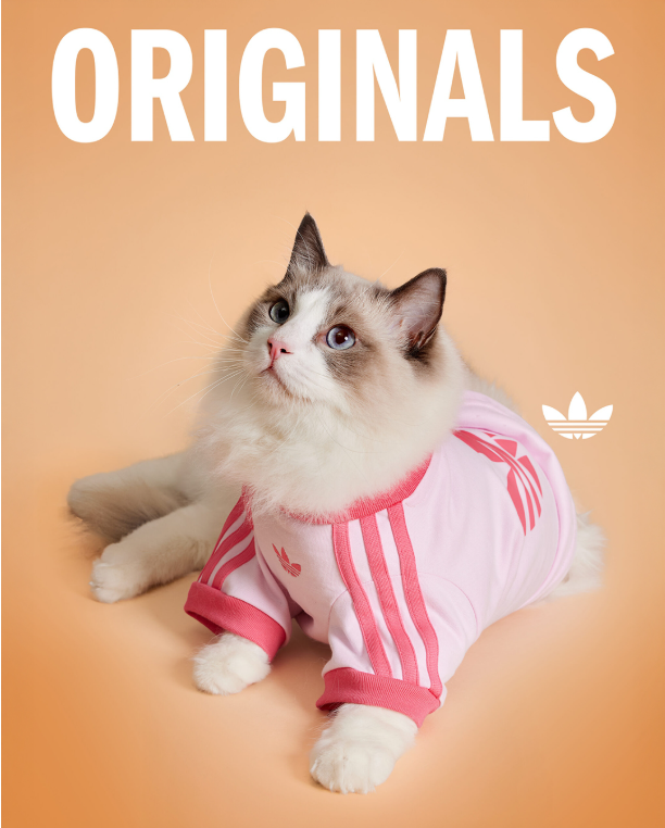 Adidas habille (aussi) vos animaux : la collection “Adidas Originals ...